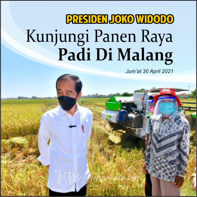 Presiden Joko Widodo Berikan Apresiasi Saat Kunjungi Panen Raya Padi Di Malang | Yuk Nanam