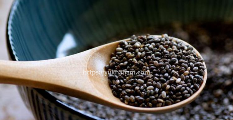 Manfaat Biji Selasih Yang Harus Anda Ketahui !! | Yuk Nanam