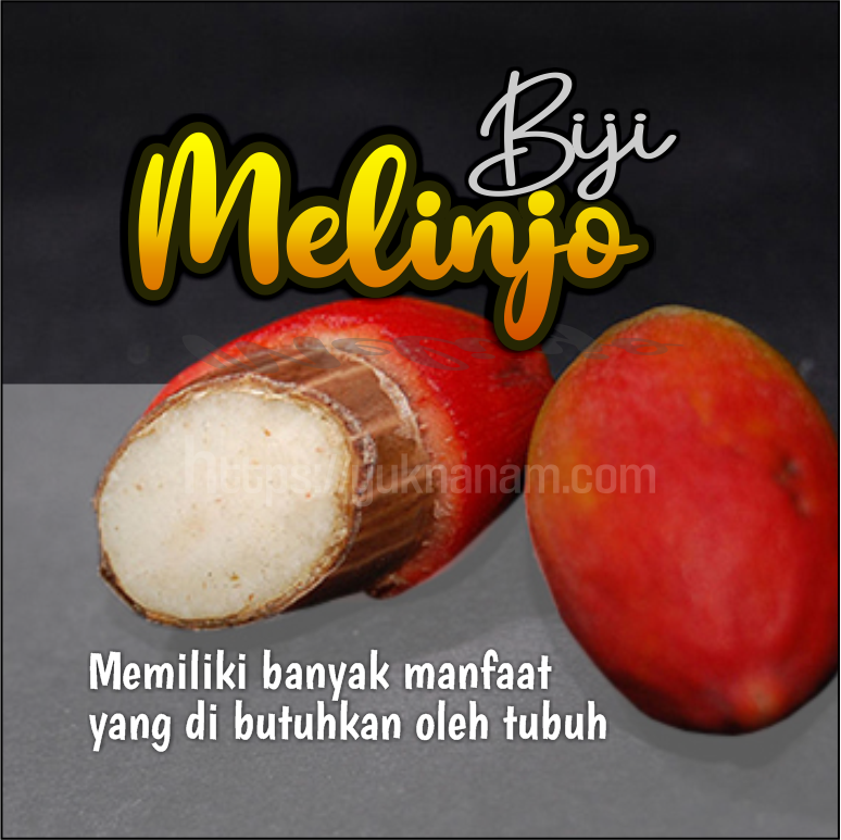Cari Tahu Apa Saja Manfaat Biji Belinjo Untuk Kesehetan Tubuh !! | Yuk ...