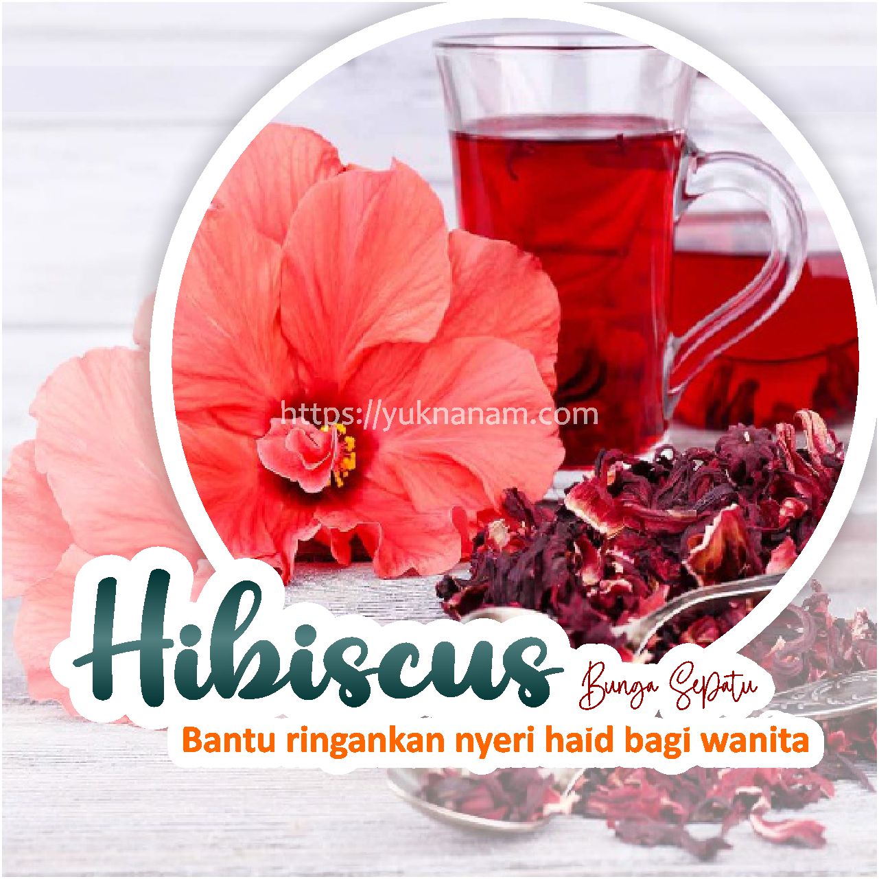 Bunga Sepatu / Hibiscus Dapat Meringankan Nyeri Haid Yang Sering Di ...