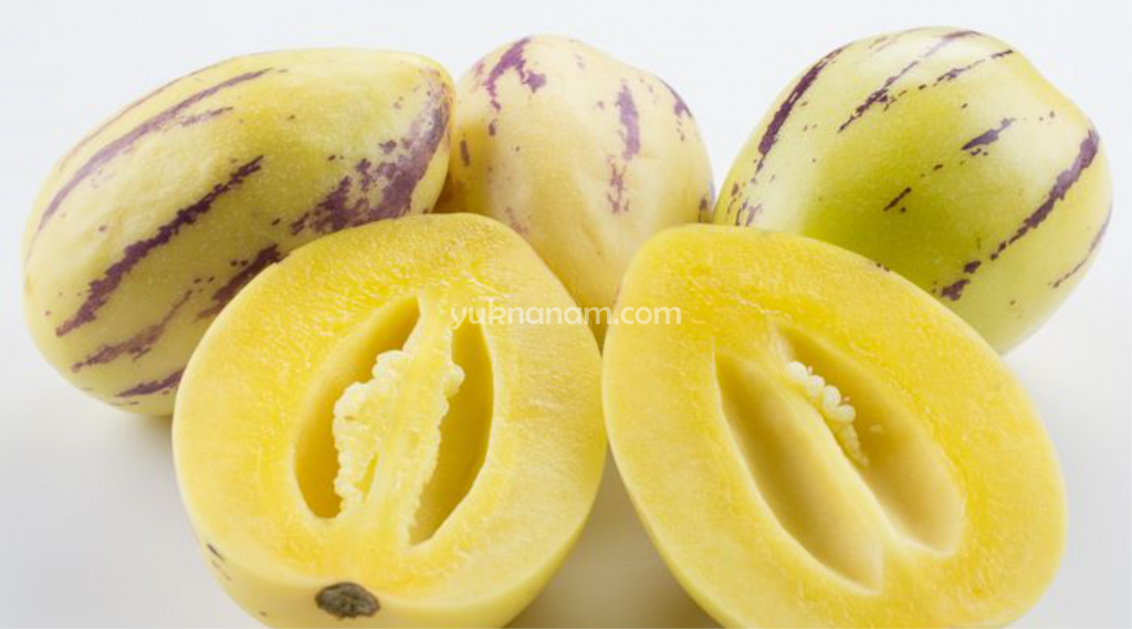 Pepino Dapat Membantu Kadar Kolesterol Dalam Darah Anda Tetap Terjaga ...