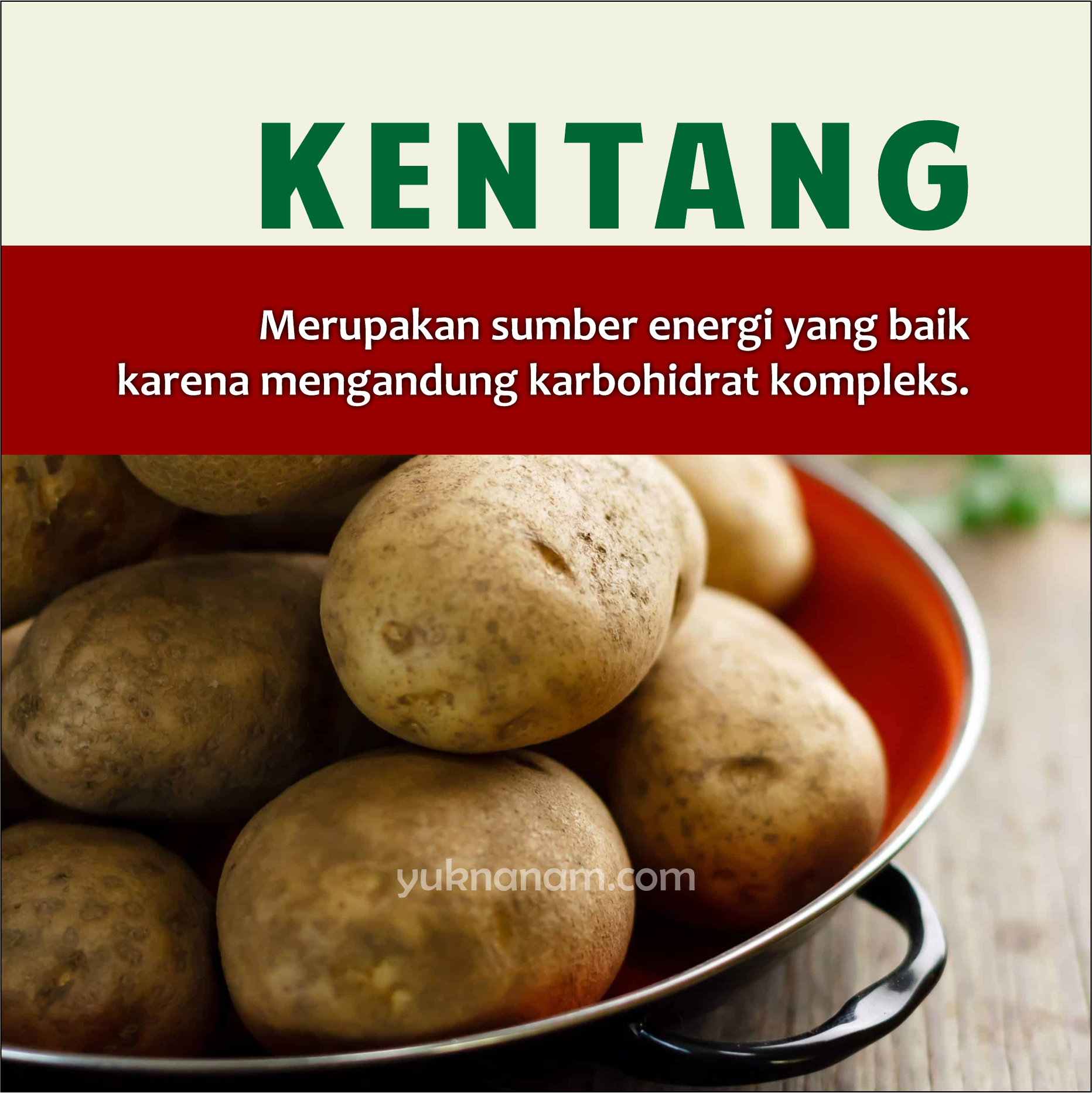 Kandungan Penting Yang Terdapat Pada Kentang Bisa Atasi Masalah ...